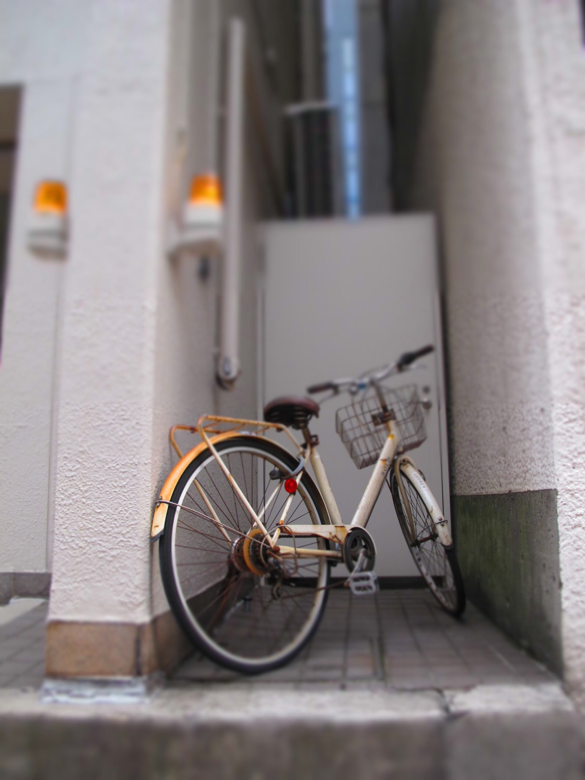 our services - abnormaldesign